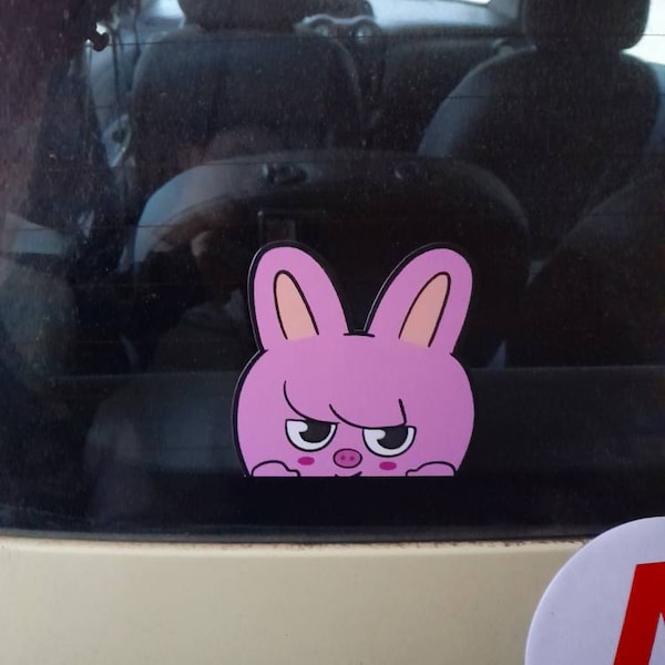 Stray Kids SKZOO Peeker Car Stickers - Etsy