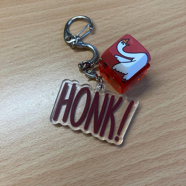 Rainbow Lion Virtual Pet Fillable Shaker Keychain - Etsy