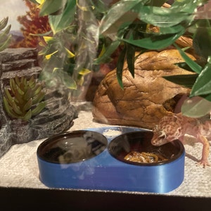 Leopard Gecko Hide Moist Hide Lay Box and Feeding Station | Etsy