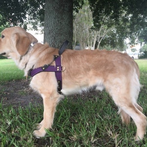 Purple Dog Harness, Ultra Soft Leather, Adjustable Harness for Small ...