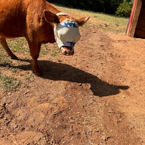 Goat/sheep Fly Masks With & W/o Horns Dual Adjustable Made to Order - Etsy