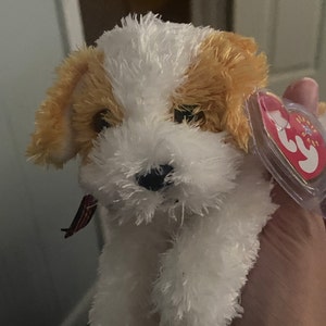 TY Beanie Baby crunch the Shark. New, Never Played With. Stored in a ...