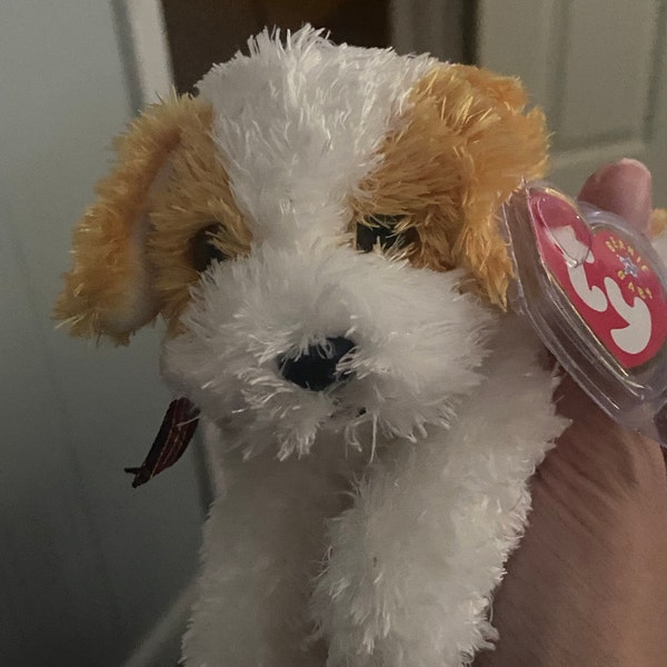TY Beanie Baby kaleidoscope the Colorful Cat. New, Never Played With ...