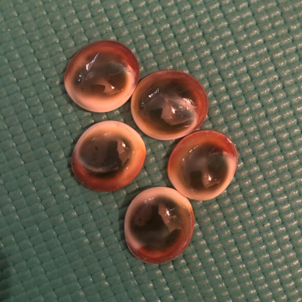 Multipack 1