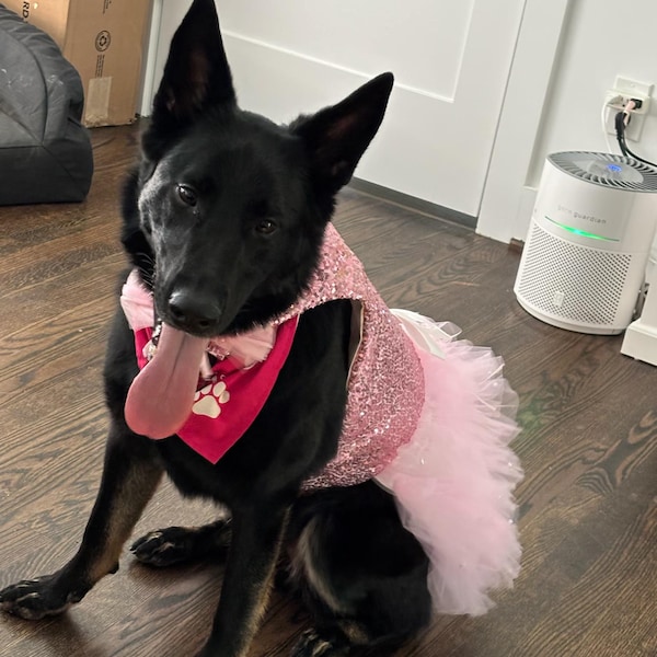 Pink Tweed Dress for Dogs and Cats, Vintage Luxury Tweed Tutu Dress for ...