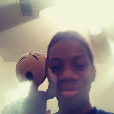 Principal of the Thing Plush, Baldi Plush, Baldi's Basics in Education ...