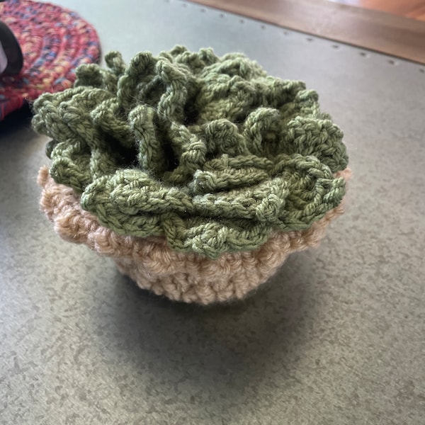Crochet Succulent Coaster Pattern - Etsy