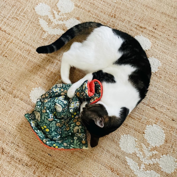 Pea Paw'd - Cat Nip Pea Pod Toy - Etsy
