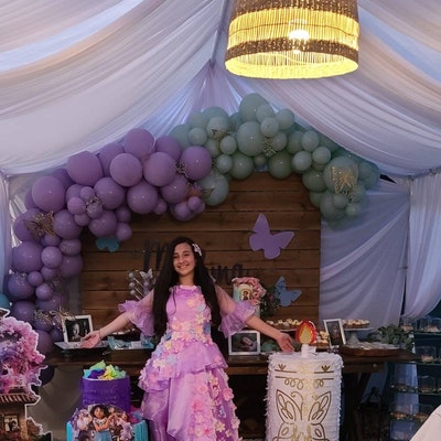 Handmade Cosplay Isabela Dress, Isabela Encanto Dress, Encanto Isabela ...