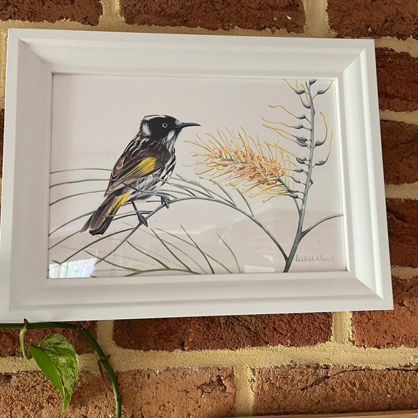 Satin Bowerbird Print - Australian Native Bird Art Print - Etsy