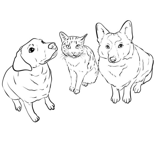 Custom Color Vector Portrait Conversion Drawing - Etsy