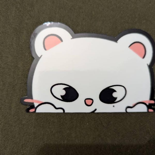 Stray Kids SKZOO Peeker Car Stickers - Etsy