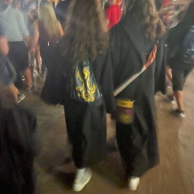 Protective Wand Bags for Interactive Wands - Etsy