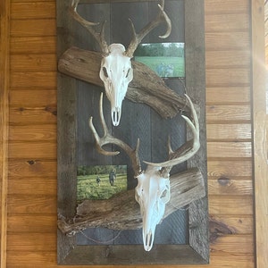 Vertical Double Euro Plaque - Etsy