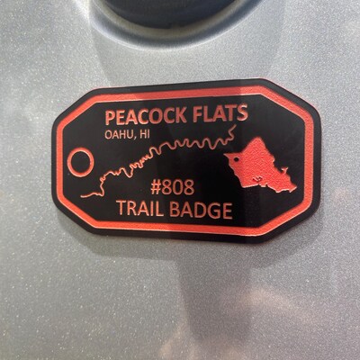 Custom Shape Acrylic Blanks 2 for Keychains, Bag Charms, Badge Reel ...