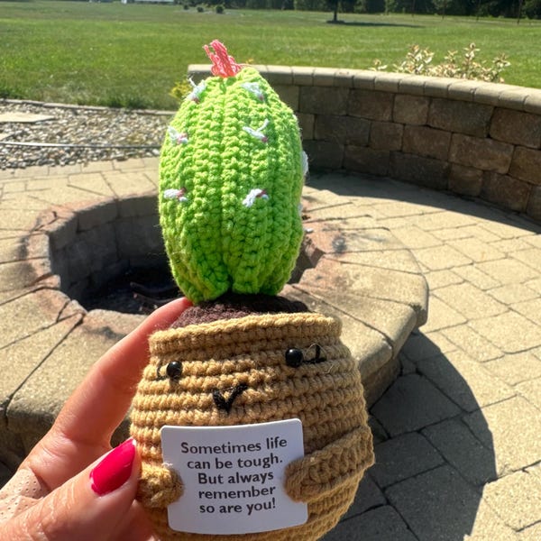 Emotional Support Gift for Friends/coworkers/family,crochet Positive ...