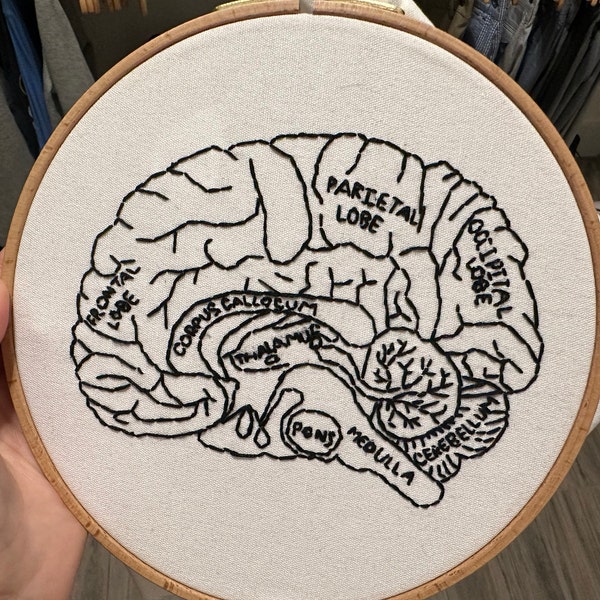 Neurology Embroidery Bundle, DIY Brain & Neuron Anatomy Embroidery ...