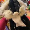 Billy the Slobbit Puppet You'll Love to Hang Around With. - Etsy