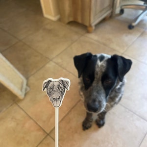 Print YOUR Dog Pet Stir Sticks, Minimalist Signature Drink Stirrer, I ...