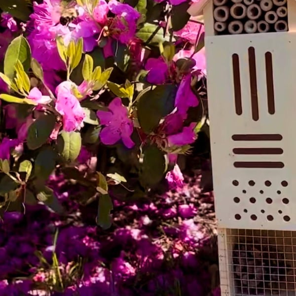 Bestseller Wooden Insect House for Bees, Bugs, Butterflies ...