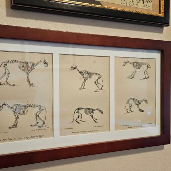 Human Body Part, Rear View / Head and Neck / Human Anatomy ...