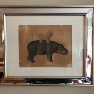 Pug Riding Triceratops Dinosaur Vintage Collage Print Tea | Etsy