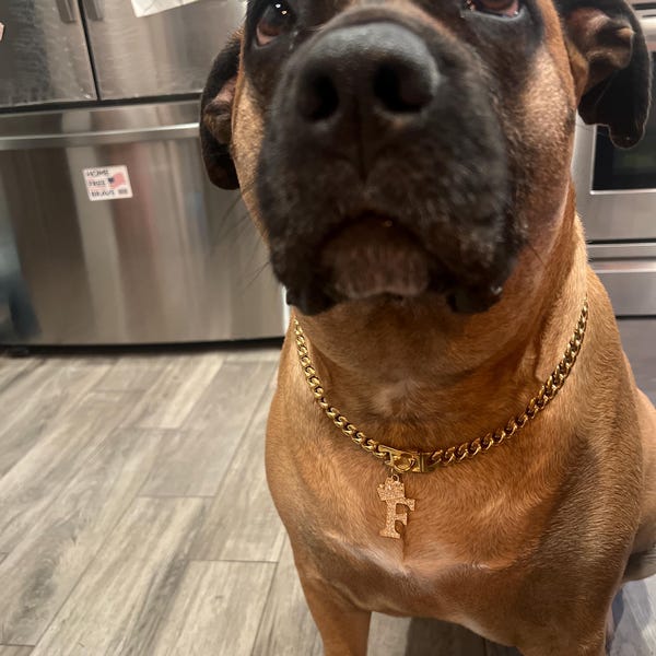 Custom Dog Chain Collar, Cuban Link Dog Chain,jewellry for Dog,dog ...