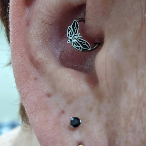 16G Death's Head Moth Captive Bead Ring - Septum, Daith, Helix & Conch ...