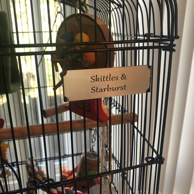 Laser Engraved 3 X 1 Silver Plate W/notched Corners and Adhesive ...