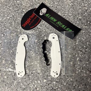 Ontario Rat 1 Hydra Skin Scales - Etsy