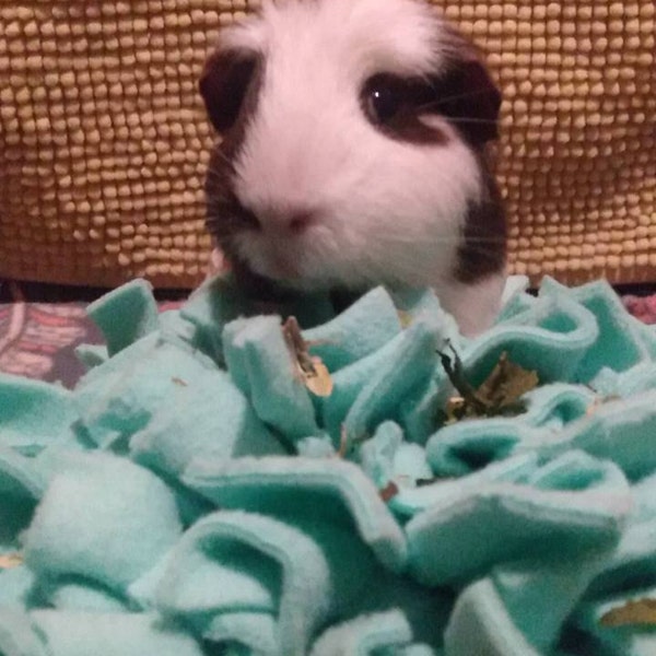 NEW! Mystery Box | for Guinea Pigs and Rabbits | Oat Free, Natrual ...