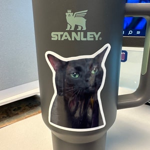 Dissociating Sticker, Zoning Out Black Cat Meme, Dissociative Sticker ...