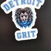 Detroit Lions Grit LED Sign - Etsy