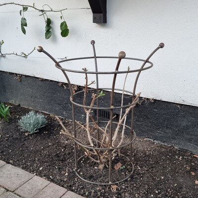 Heavy Duty Peony, Hydrangea GROW THROUGH Plant Support-herbaceous ...