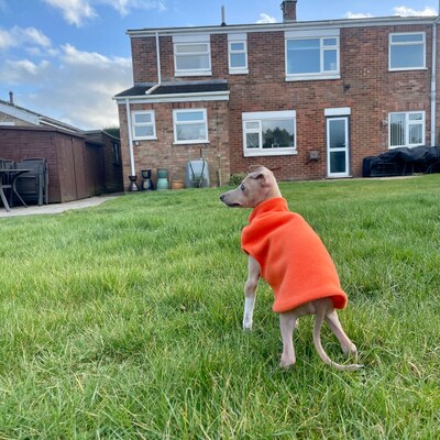 MADE TO ORDER Puppy Italian Greyhound Clothing Fleece Vest. - Etsy UK