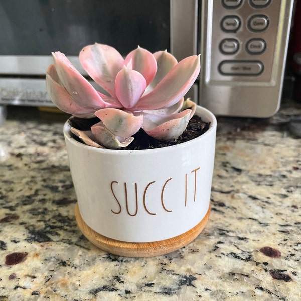 Grumpy Succulent Planters Multipack, Funny Small Plant Pots With ...