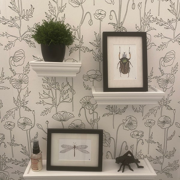 Proboscis Bat Watercolor Painting, Rhynchonycteris Naso Framed Painting ...