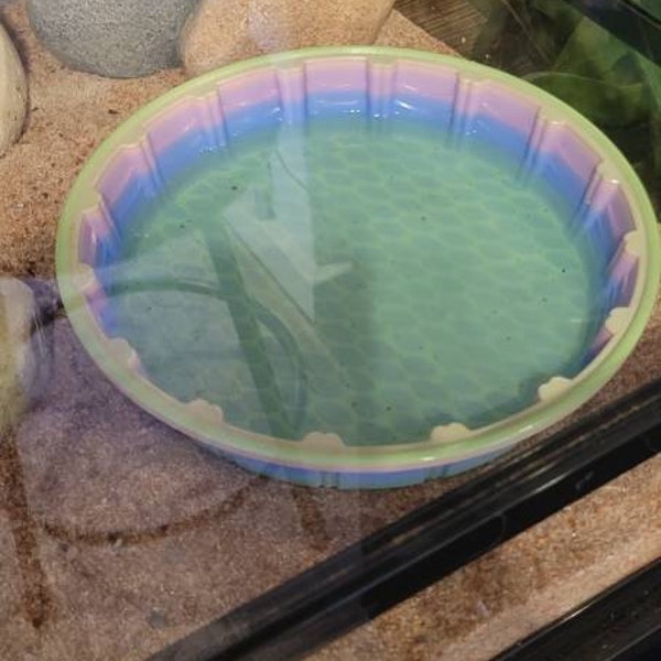 Kiddie Pool Remake 3D Printed Reptile/small Pet Sandbox/food Bowl ...