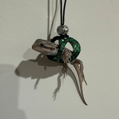 Turquoise Python Harness With Wings - Etsy