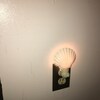 DEEP SCALLOP Sea Shell NIGHTLIGHT - Etsy