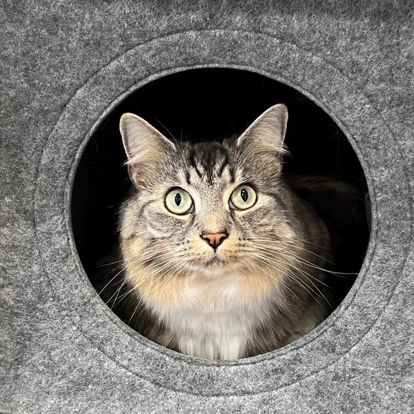 Zen Zone Cat Pillow, Comfy U-shaped Cat Neck Pillow, Pet Supplies ...