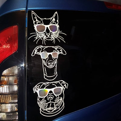 Cat Decal, Vinyl Decal, Car Decal, Bumper Sticker, 5 Decal - Etsy