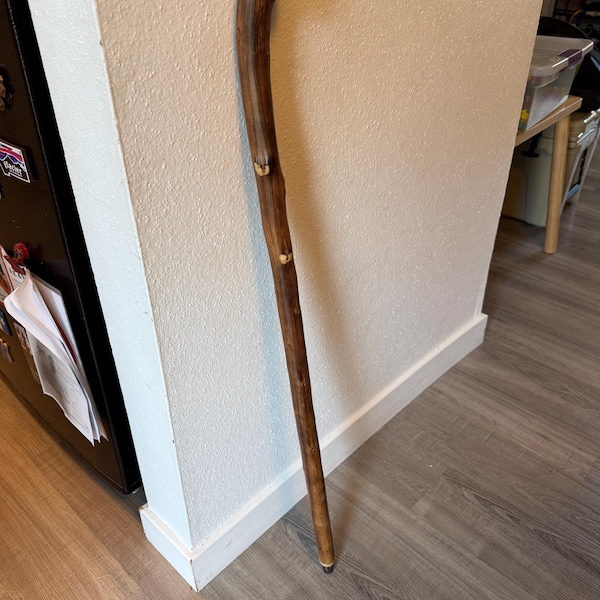 Irish Blackthorn Walking Stick | Cane Irish | Wood Hiking Cane ...