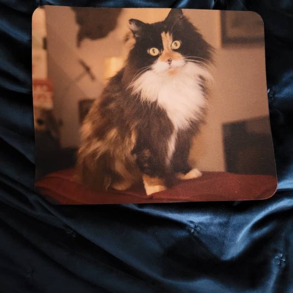 Personalised Bottle Labels Personalised Light Up Bottle Birthday Gift ...