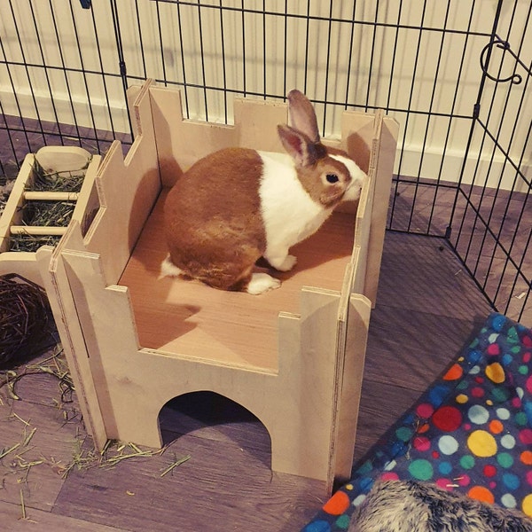 Rabbit Hay Feeder / Feeding Trough - Etsy UK