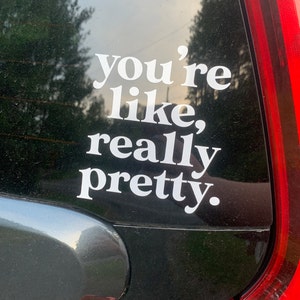 Wasted Paychecks Car Decal Art Bumper Sticker Decor Truck Window ...