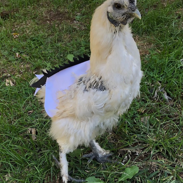 Waterproof Chicken Saddle: Dinosaur Costume Hen Apron With Tail Spikes ...
