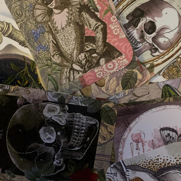 Medieval Stickers. Medieval Manuscript Animal Stickers - Etsy