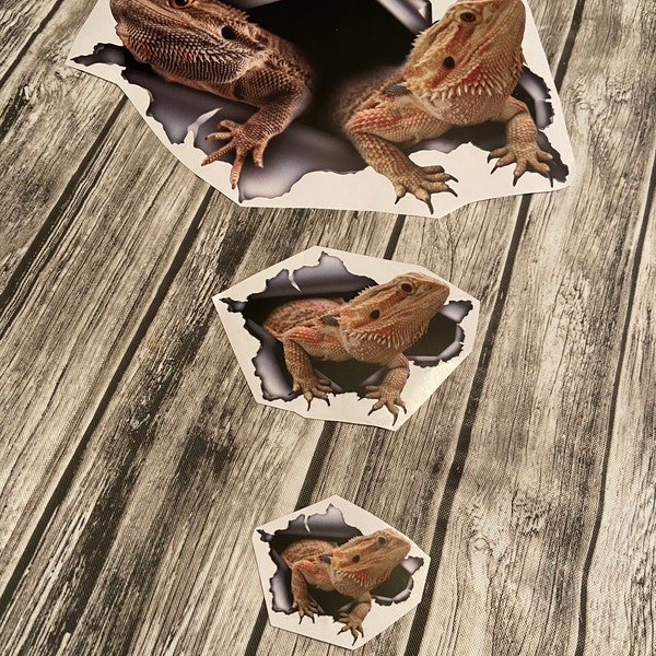 Bearded Dragon Car Decal, Bearded Dragon Magnet, Bearded Dragon Car ...