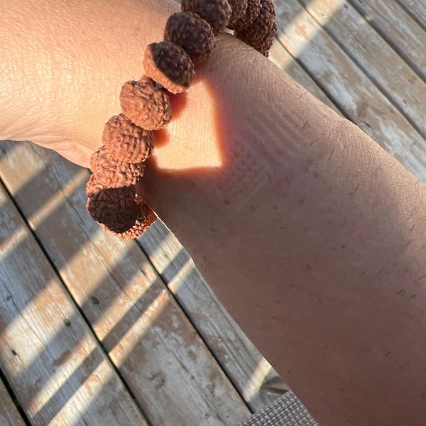 Shrirudram Rare Dwarika Shila Divine Stone, Religious Gifts ...